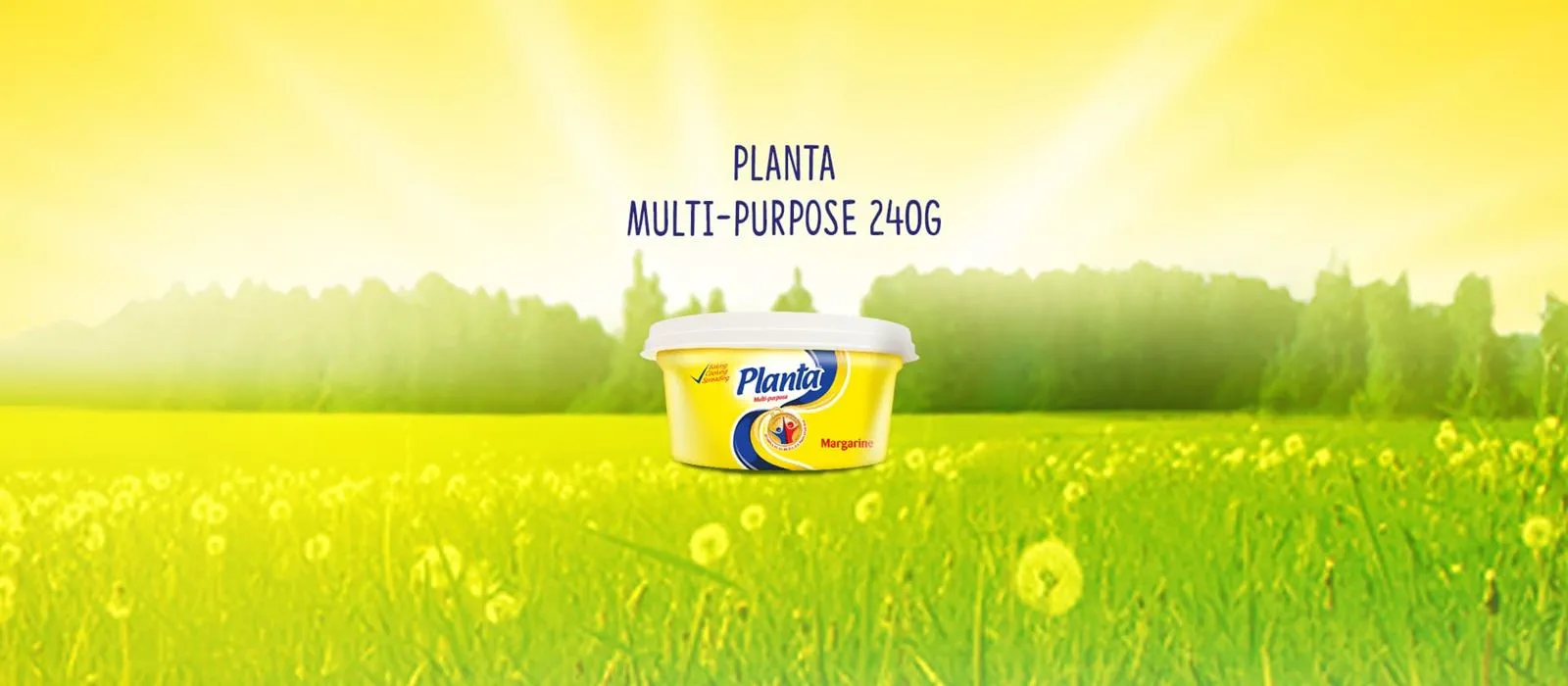 Planta Multipurpose Margarine 240g | BlueBand